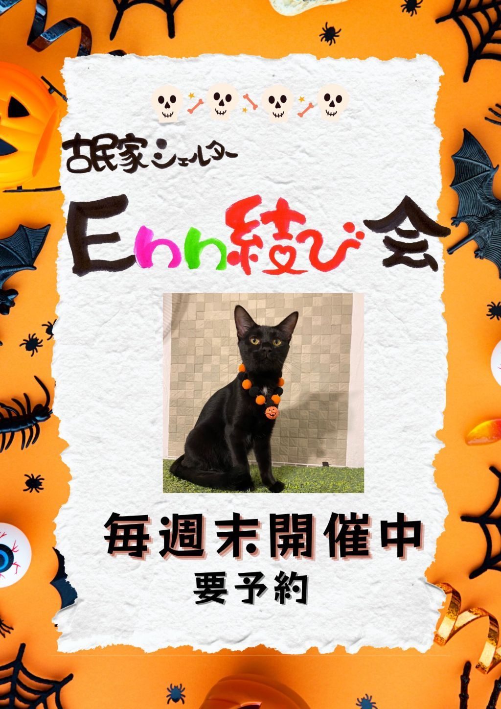 Enn結び会 | Enn | OMUSUBI by ペトコト｜保護犬・保護猫マッチングサイト