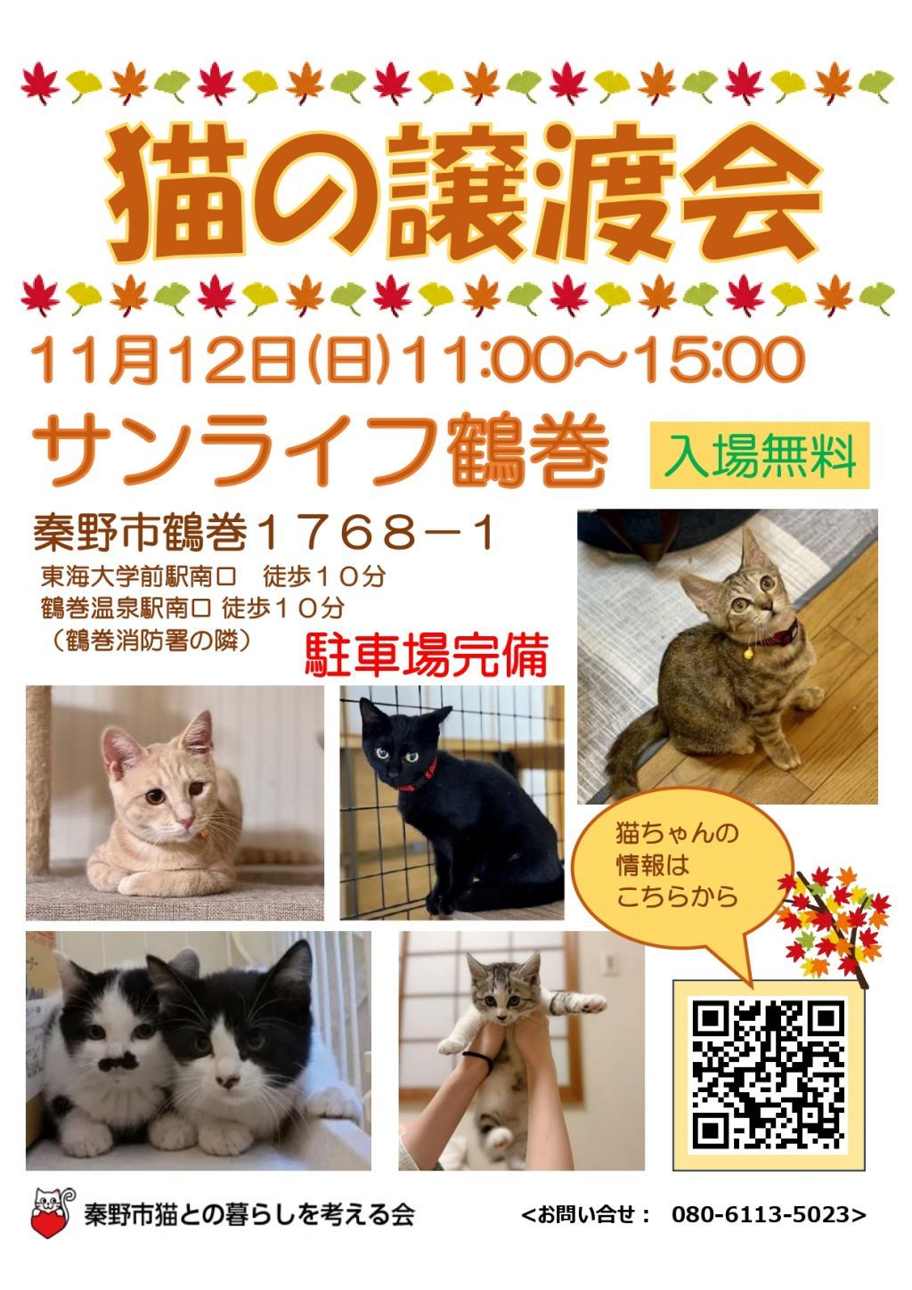 猫の譲渡会＠秦野市 | 秦野市猫との暮らしを考える会 | OMUSUBI by ペトコト｜保護犬・保護猫マッチングサイト