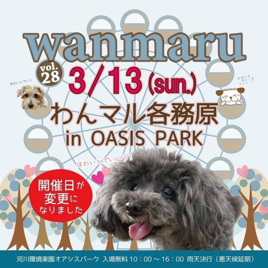 わんマル各務原 in OASIS PARK | 一般社団法人SORA小さな命を救う会 | OMUSUBI by ペトコト｜保護犬・保護猫マッチングサイト